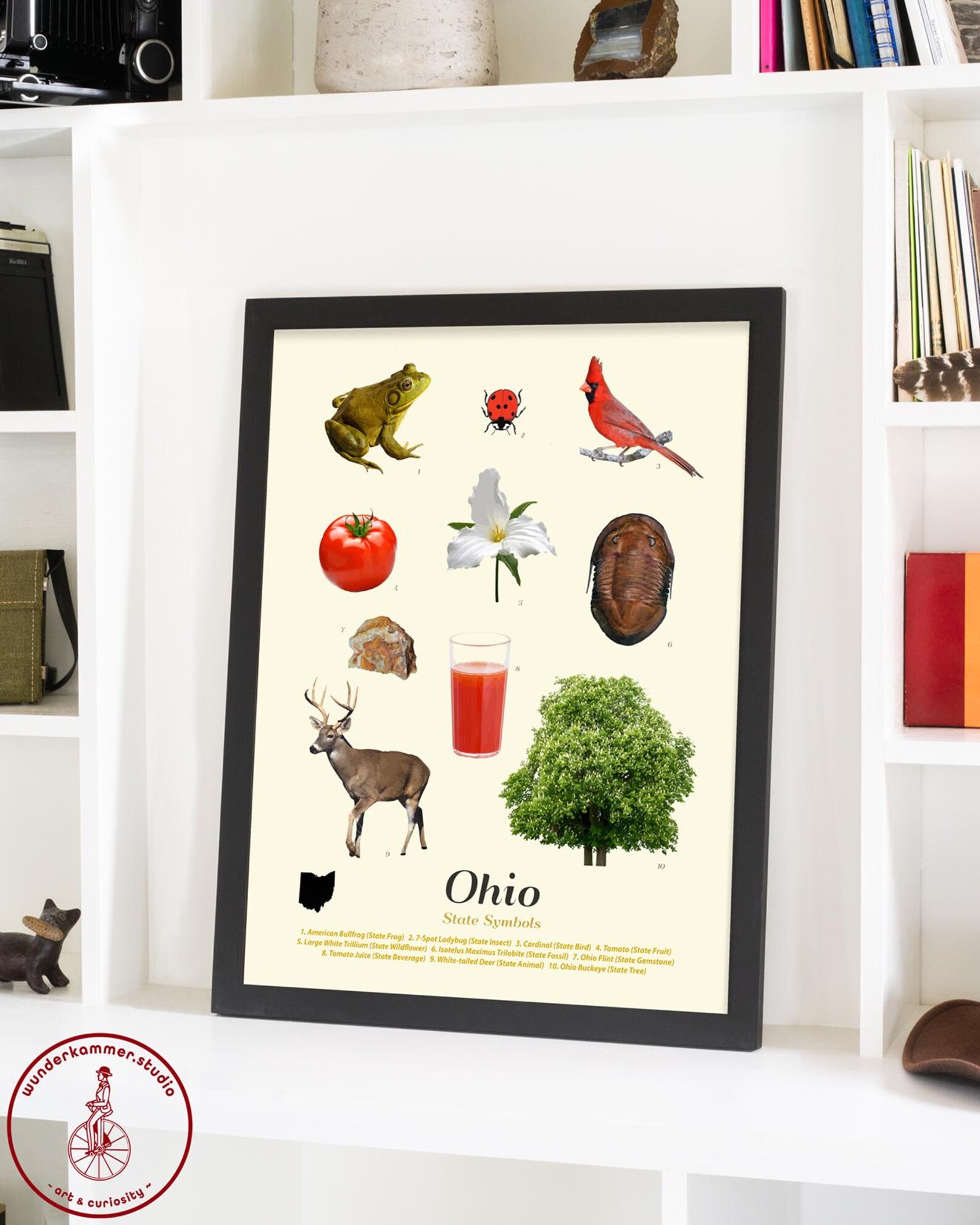 Ohio State Symbols Art Print: Typology Poster - Etsy