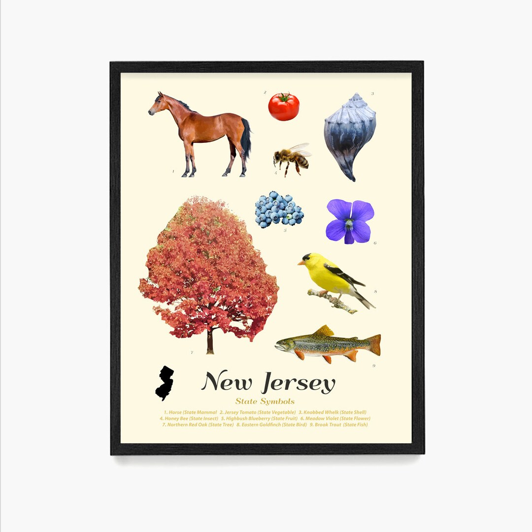 New Jersey State Symbols Poster, New Jersey Wall Art, New Jersey Decor ...