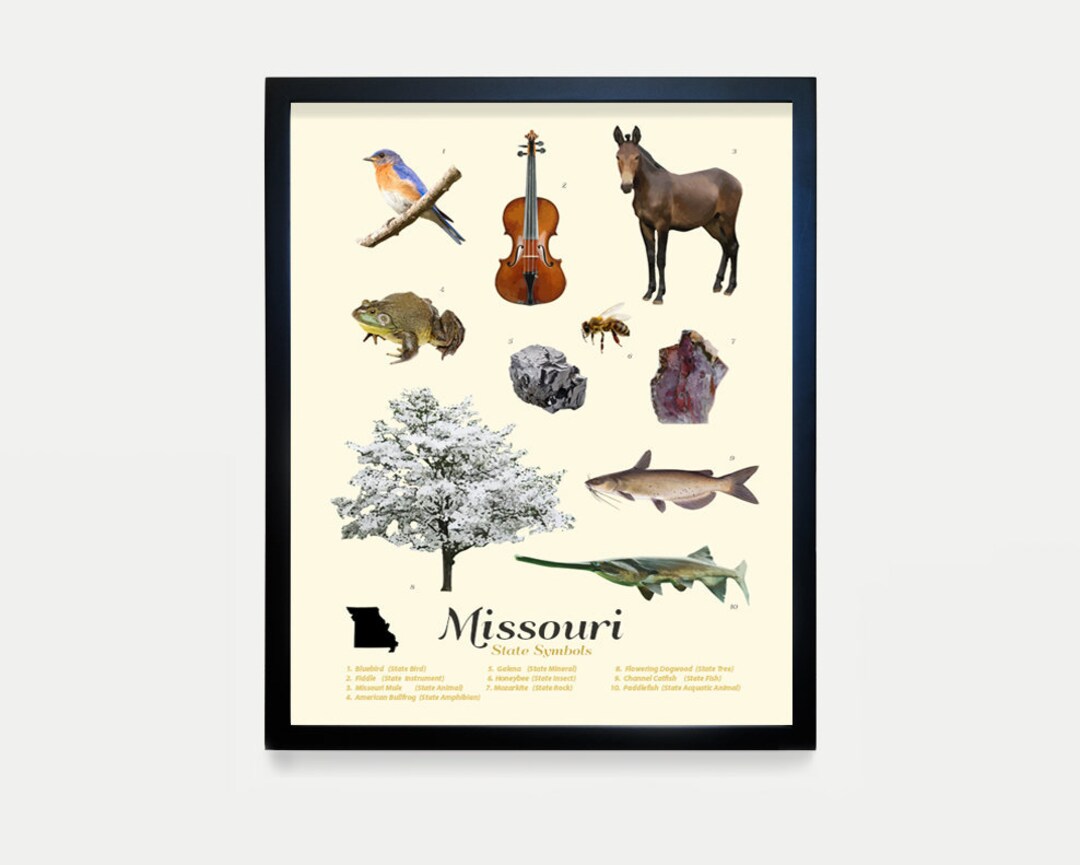 Missouri State Symbols Typology, Missouri Art, Missouri Poster ...