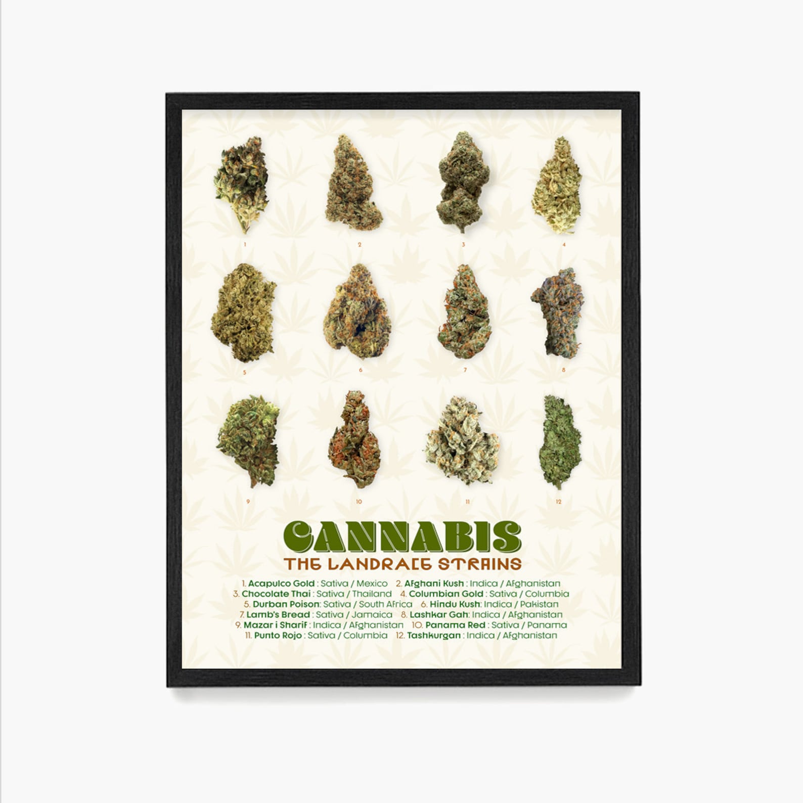 Cannabis Poster the Landrace Cannabis Strains Poster - Etsy