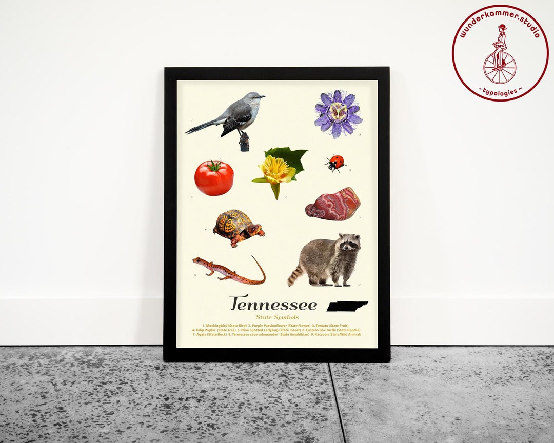 Tennessee State Symbols Poster, Tennessee Wall Art, Tennessee Home ...