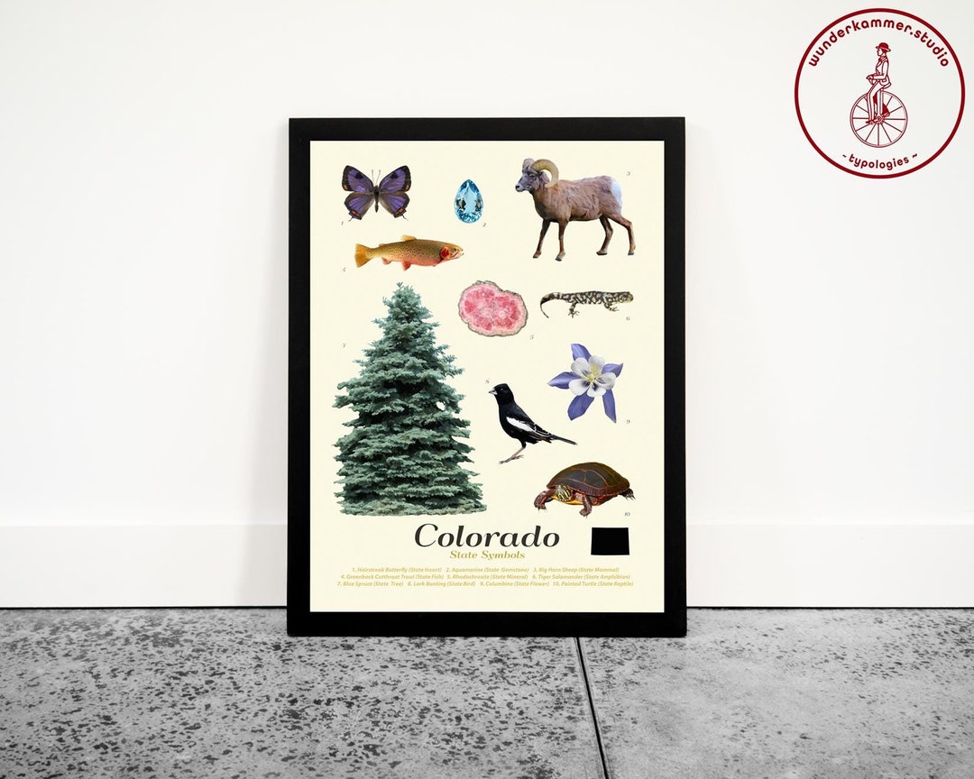 Colorado State Symbols Typology, Colorado Wall Art, Colorado Home Decor ...
