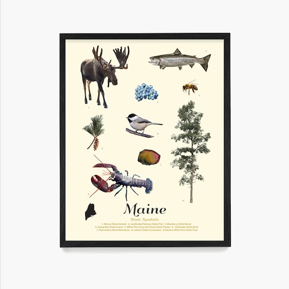 Maine State Symbols Typology Poster Maine Wall Art Maine | Etsy
