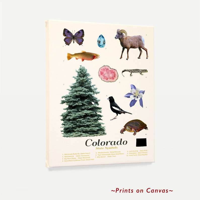 Colorado State Symbols Typology Colorado Art Colorado | Etsy