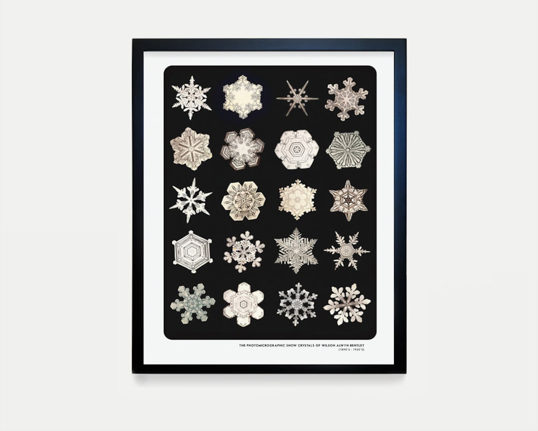 Vintage Snowflake Typology Poster: Winter Science Art Print - Etsy