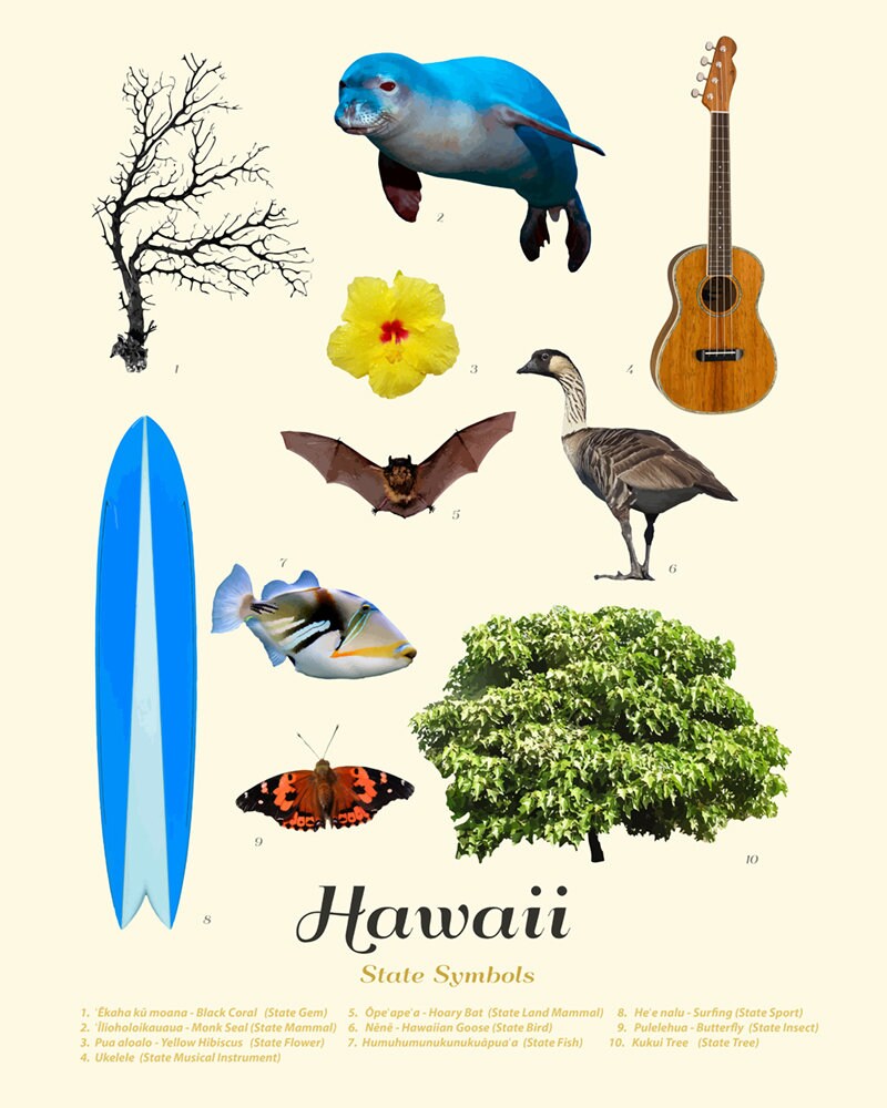 Hawaii State Symbols Poster Hawaii Art Hawaii Poster | Etsy