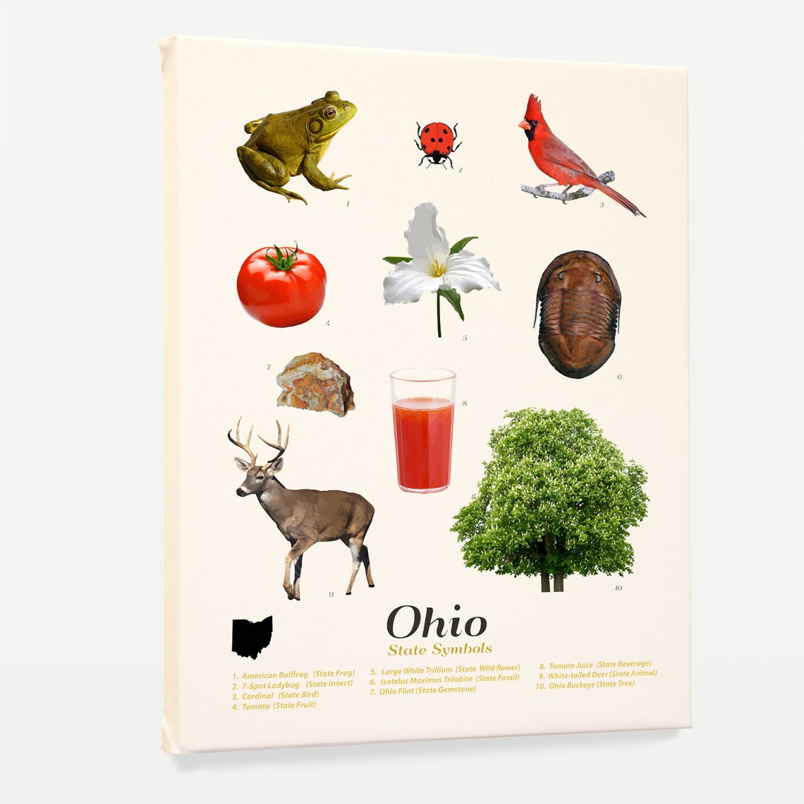 Ohio State Symbols Typology Poster Ohio Wall Art Ohio Home - Etsy