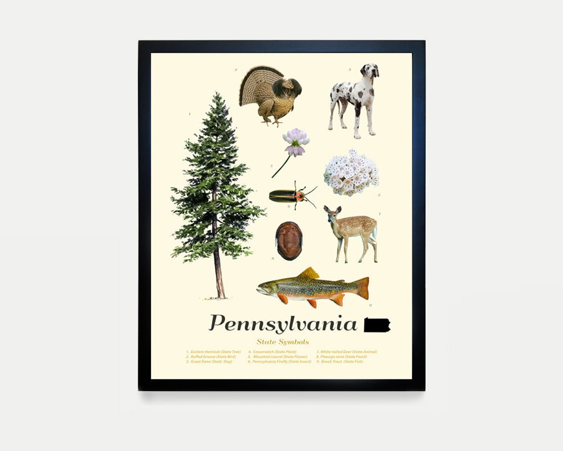 Pennsylvania State Symbols Typology Poster Pennsylvania Wall - Etsy