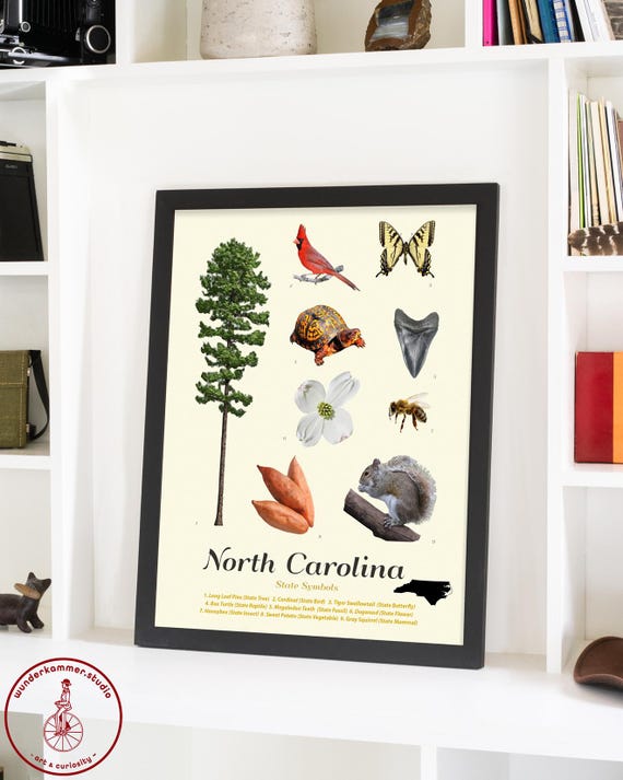 North Carolina State Symbols List North Carolina State Symbols In Usa