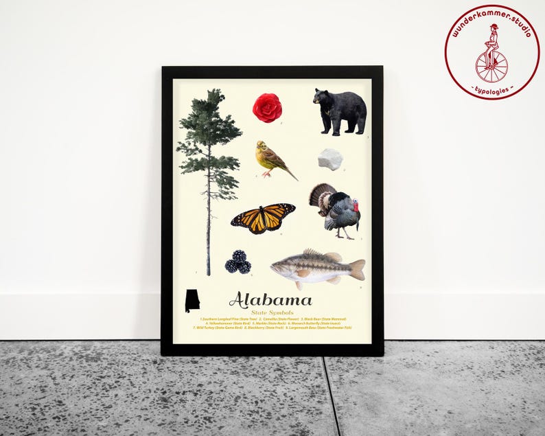 Alabama State Symbols Art Print: Yellowhammer, Blackberry, Camellia - Etsy