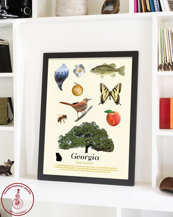 Georgia State Symbols Premium Photo | Flag Of Georgia Georgian State