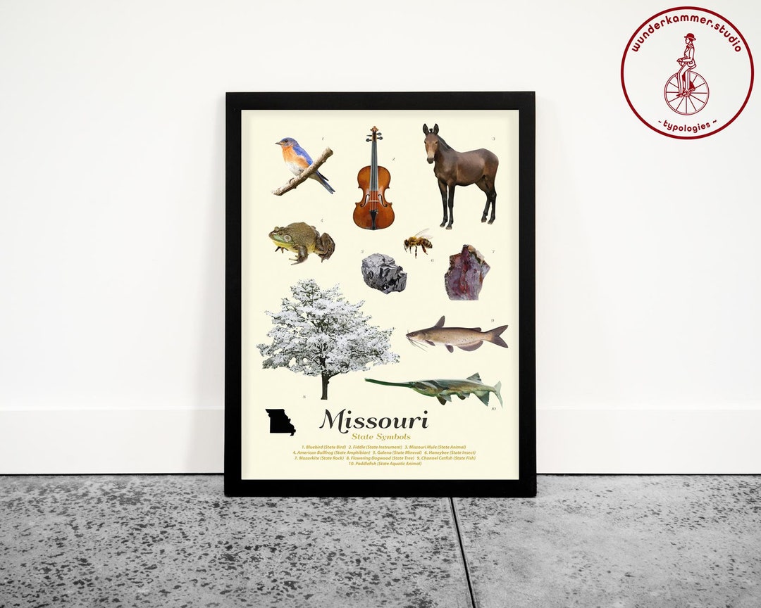 Missouri State Symbols Typology Poster, Missouri Wall Art, Missouri ...