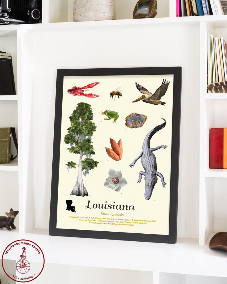 Louisiana State Symbols Art Print: New Orleans Home Decor - Etsy