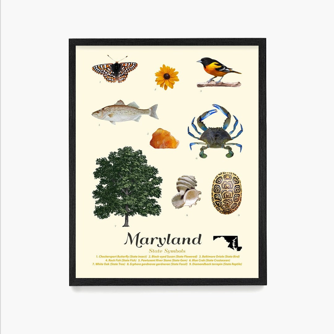 Maryland State Symbols Typology Poster, Maryland Wall Art, Maryland ...