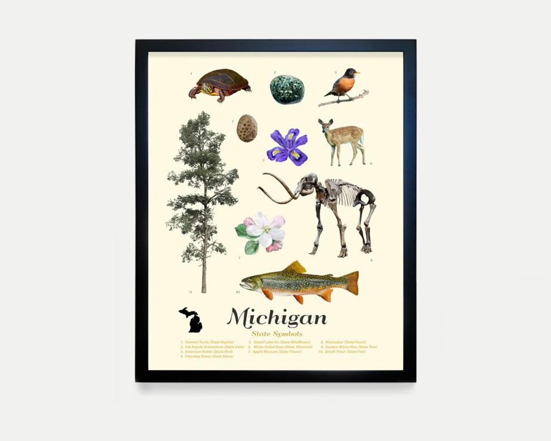 Michigan State Symbols Typology Poster, Michigan State Wall Art ...