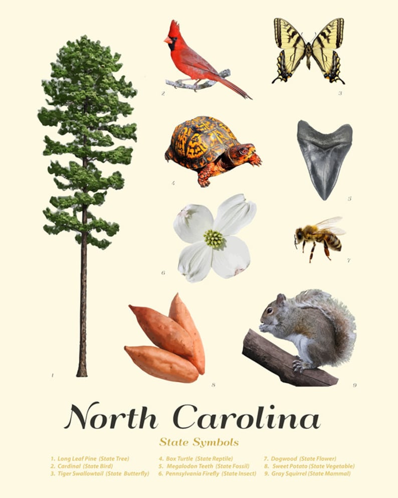 North Carolina State Symbols Typology North Carolina Art - Etsy