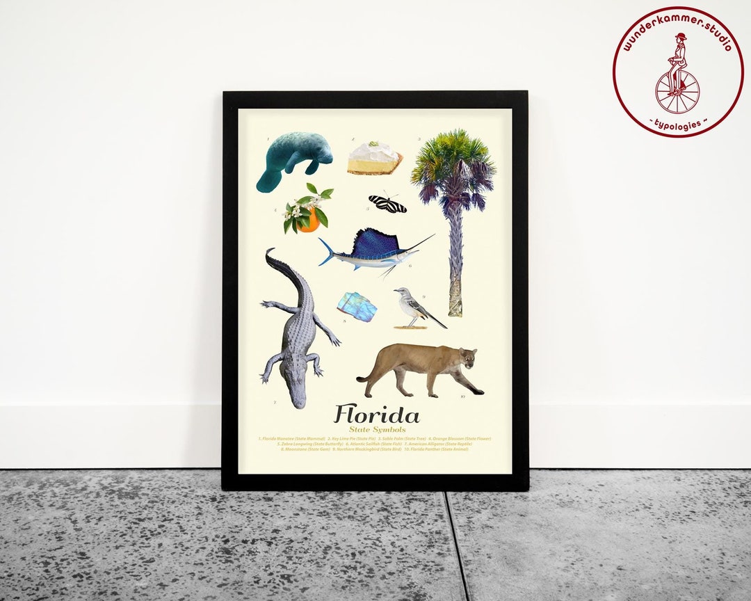 Florida State Symbols Typology, Florida Poster, Florida Wall Art ...