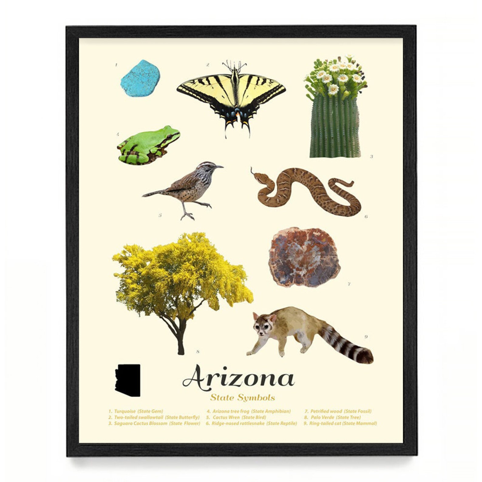 Arizona State Symbols Typology Arizona Art Arizona Poster | Etsy