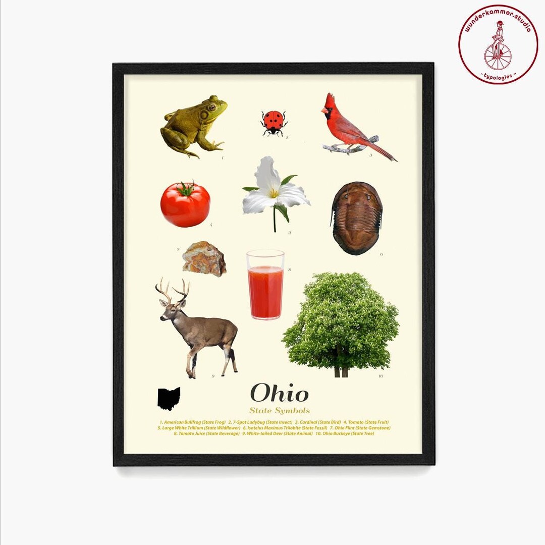 Ohio State Symbols Typology Poster, Ohio Wall Art, Ohio Home Decor ...