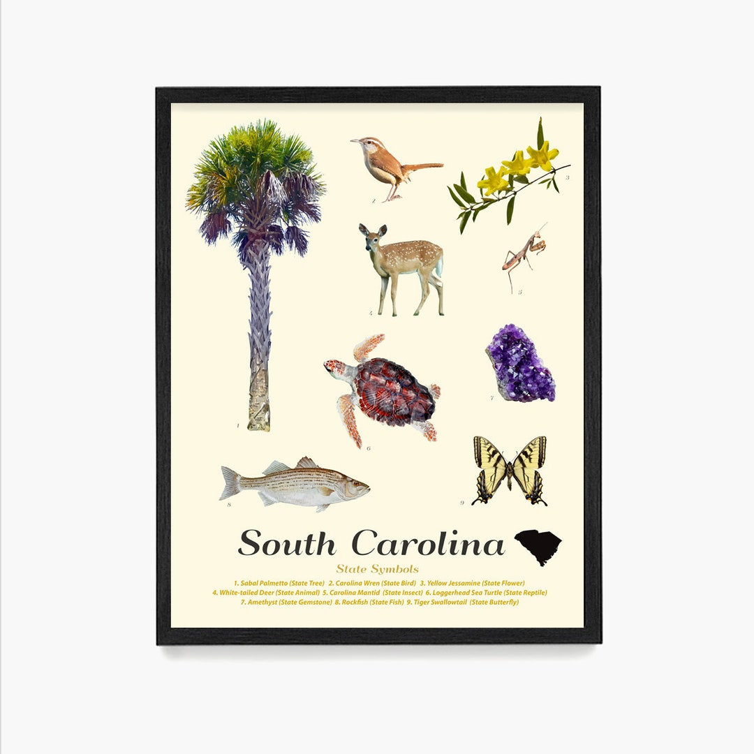 South Carolina State Symbols Typology Poster, South Carolina Wall Art ...