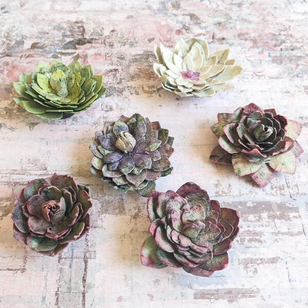 Succulent Magnet - Etsy