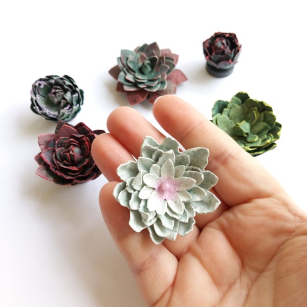 Succulent Magnet - Etsy