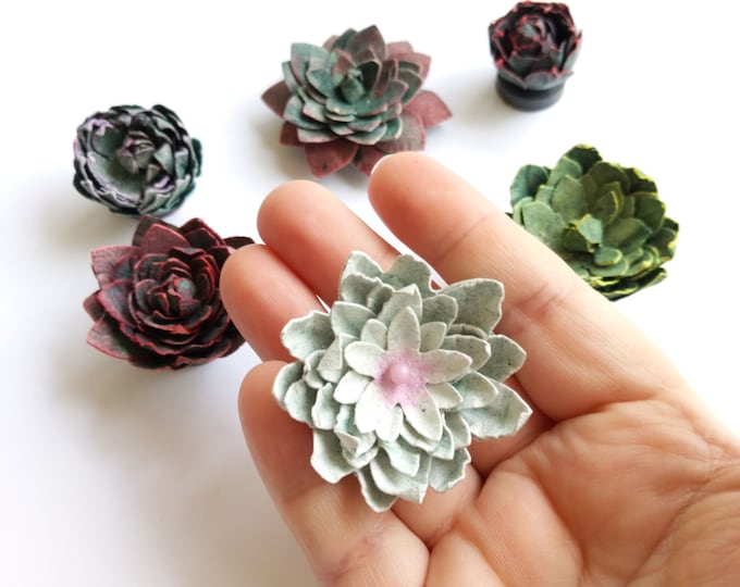 Succulent Magnets or Pushpins, Cactus Magnets or Pushpins, Succulent ...