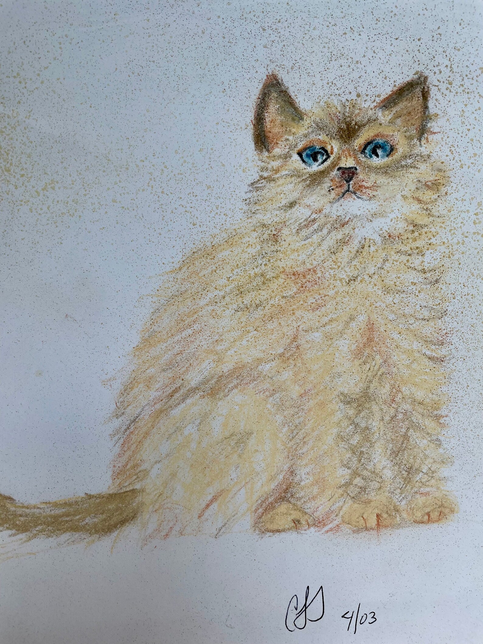 Hand Drawn Kitten Portrait Pastel Pencil - Etsy