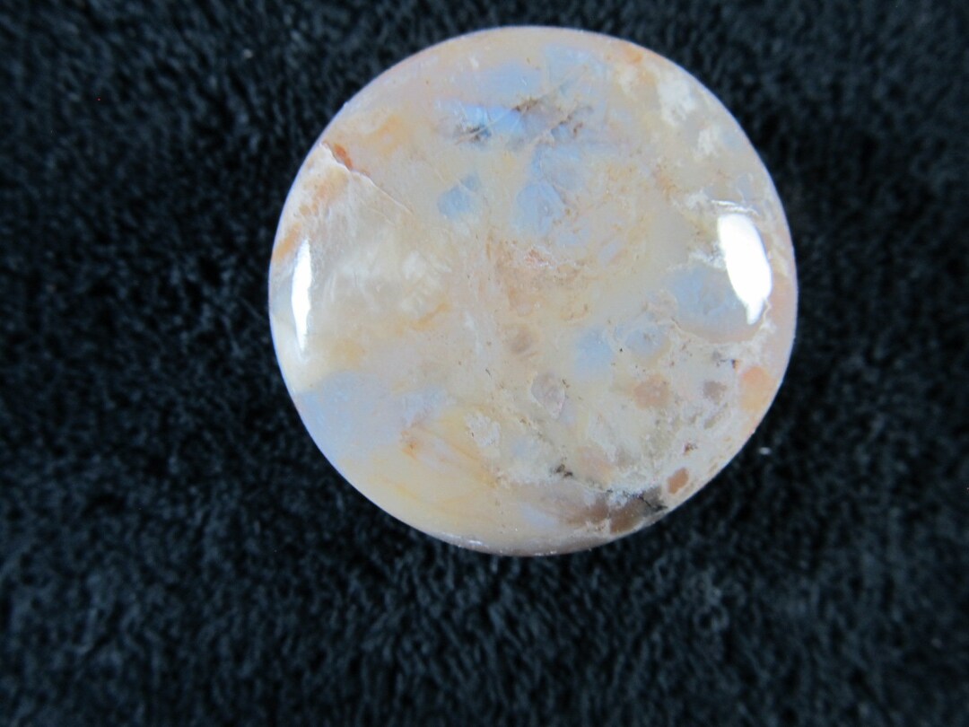 Dinosaur Coprolite (poop) 38 Mm Cabochon (cabdrawer) - Etsy