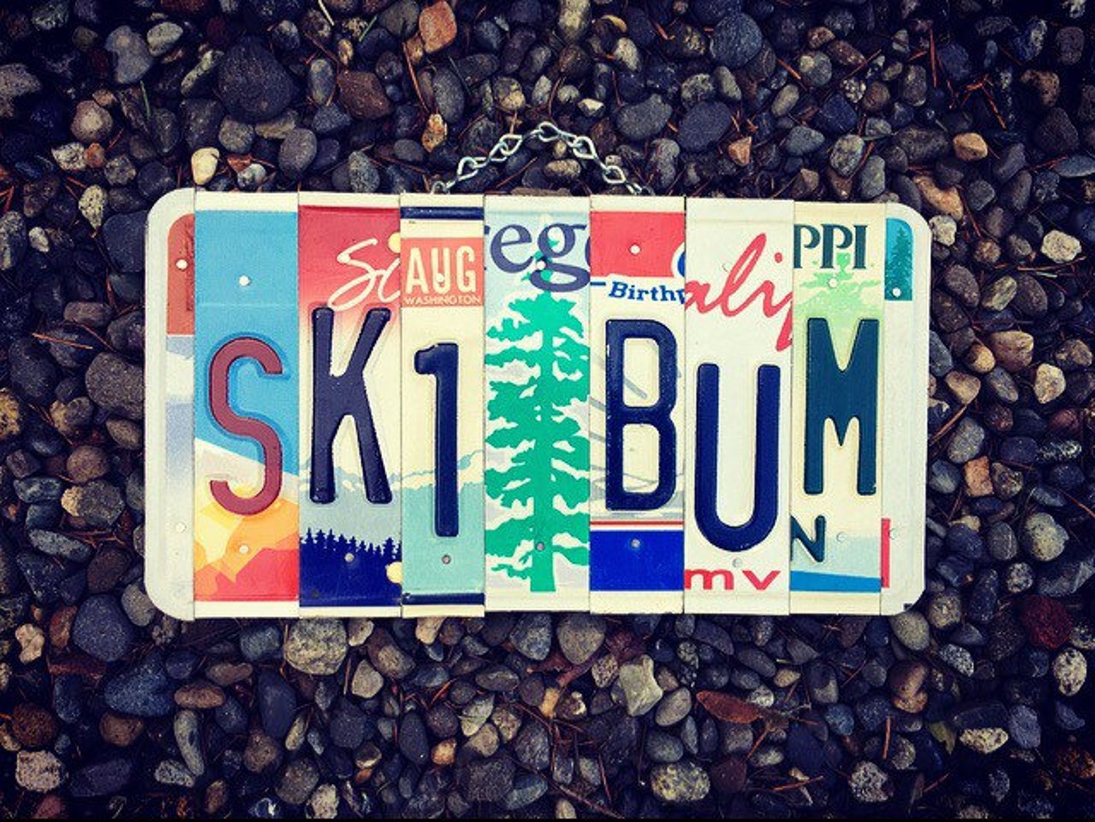 SKI BUM License Plate Art Ski Sign Skier Gift Ideas Gifts | Etsy