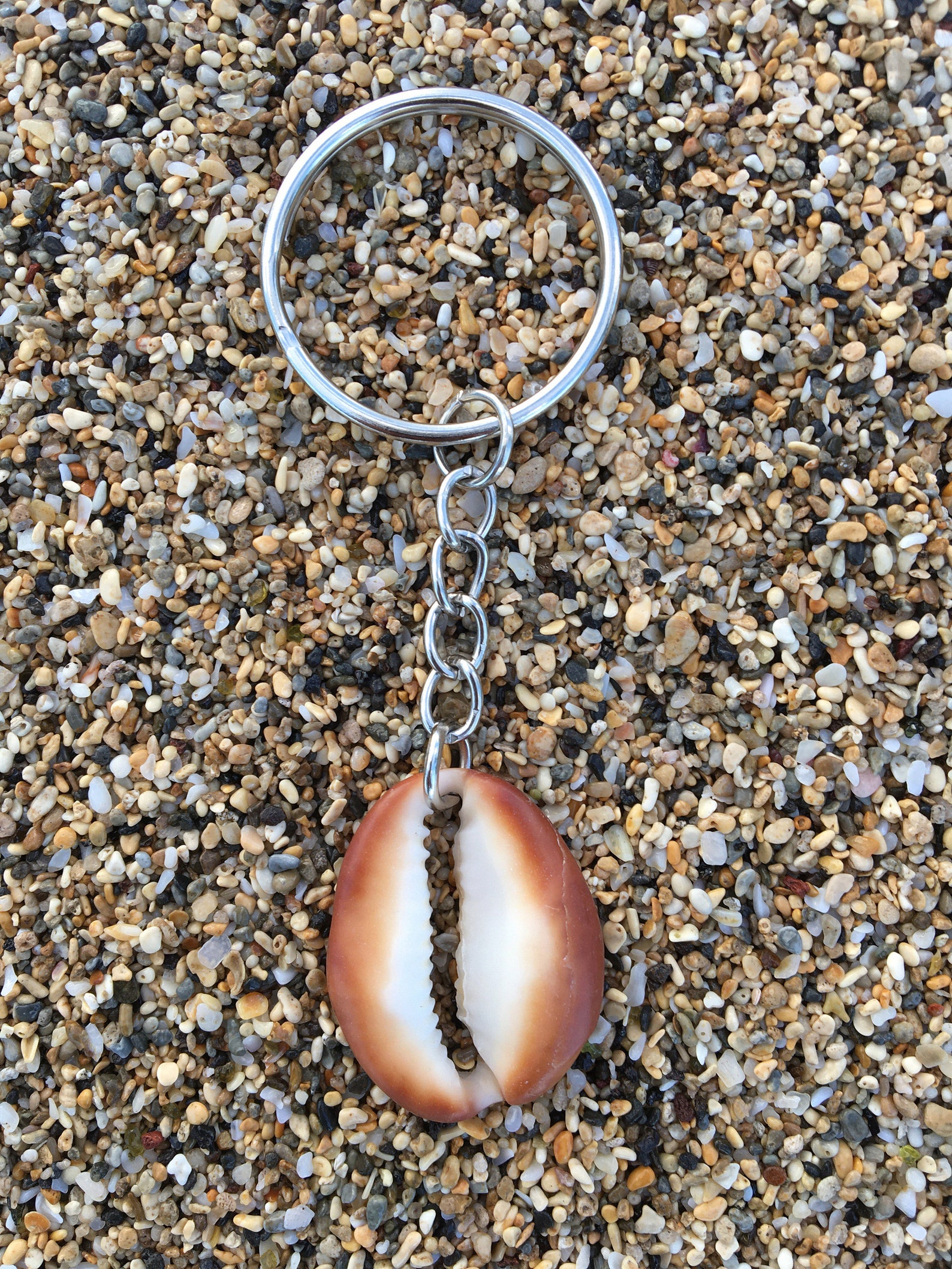 Hawaiian Cowry Shell Keychain Made in Hawaii Shell Keychain | Etsy