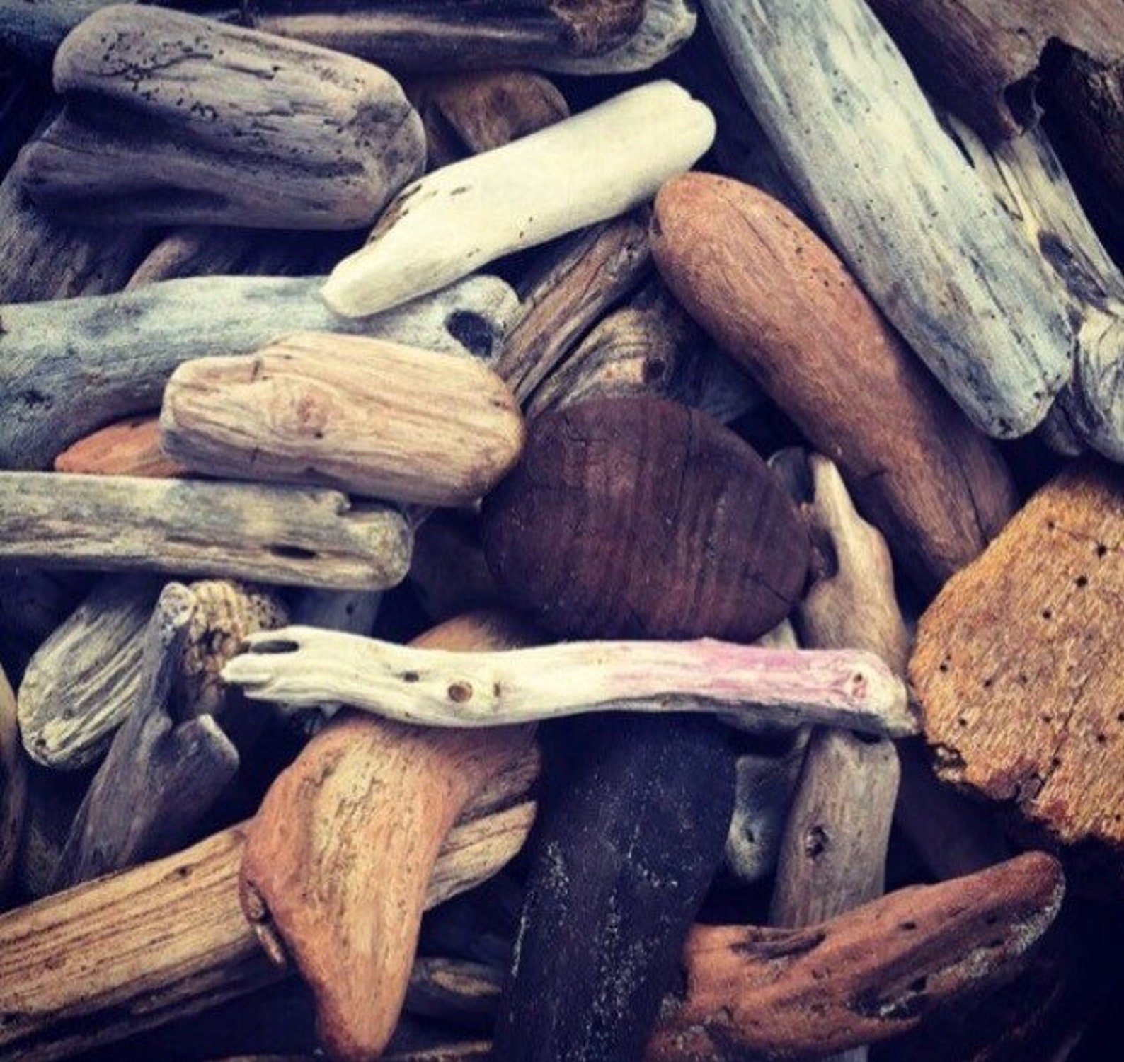 Maui Art Maui Gifts Maui Girl Made in Hawaii Maui Home | Etsy