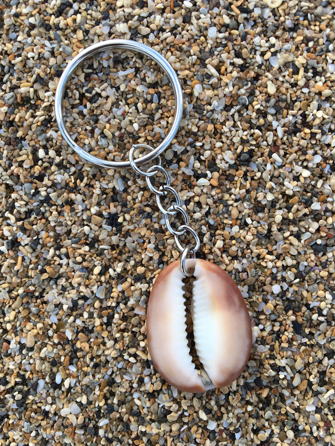 Hawaiian Cowry Shell Keychain Made in Hawaii Shell Keychain | Etsy