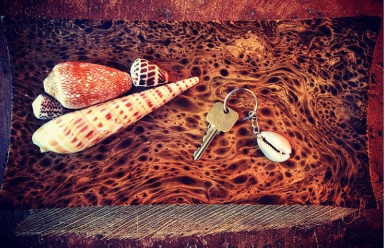 Hawaiian Cowry Shell Keychain, Made in Hawaii Shell Keychain, Cowry ...