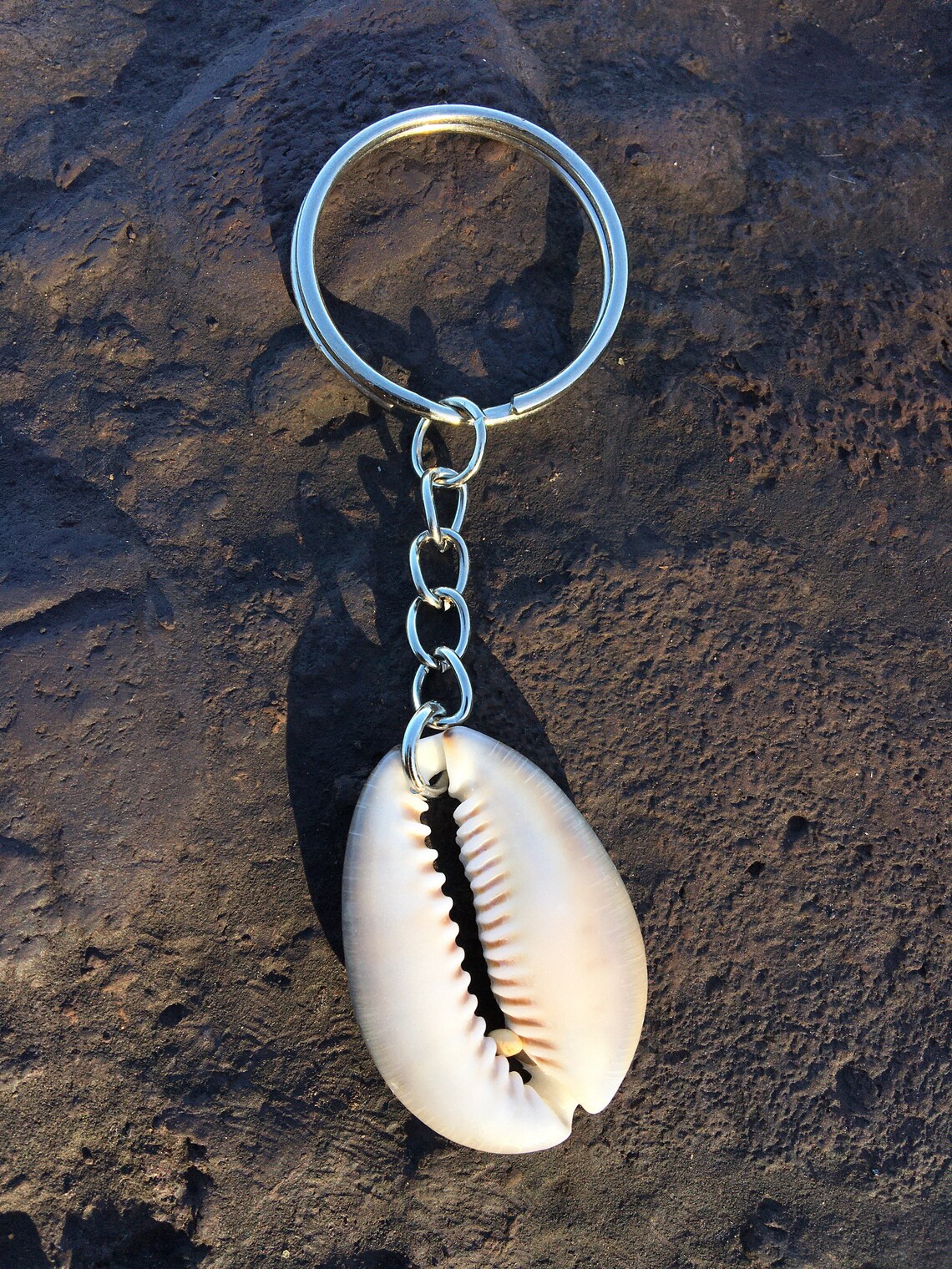 Hawaiian Cowry Shell Keychain Made in Hawaii Shell Keychain | Etsy