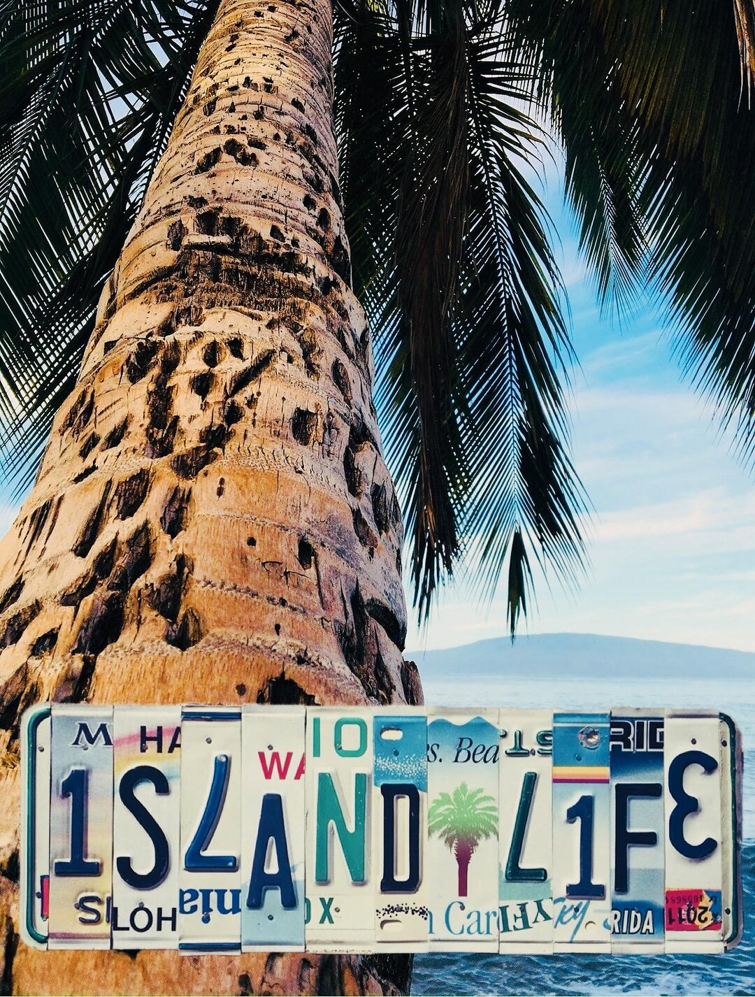 Letrero de playa con palmera de Island Life Hawaii, decoración playera ...