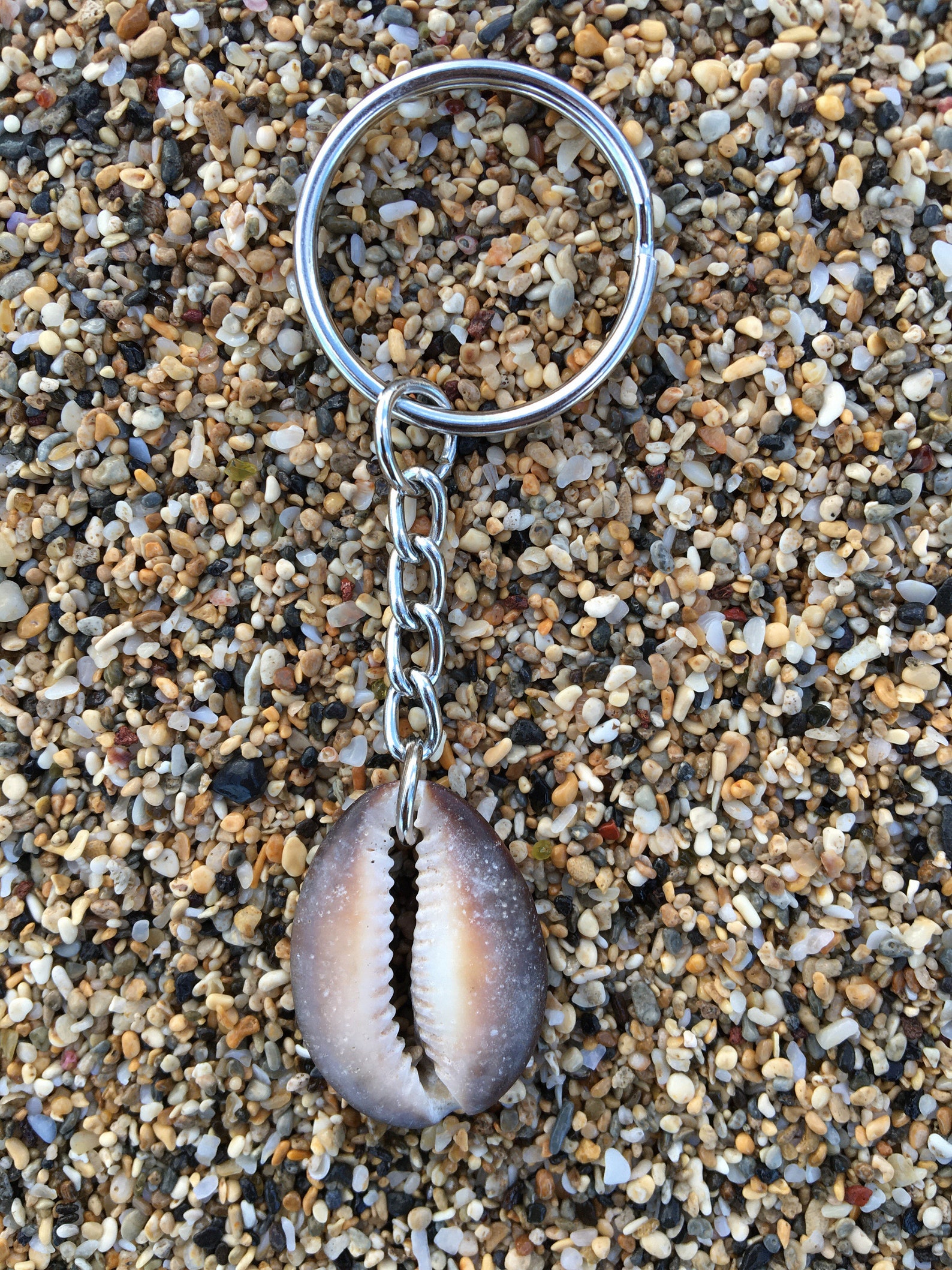 Hawaiian Cowry Shell Keychain Made in Hawaii Shell Keychain | Etsy