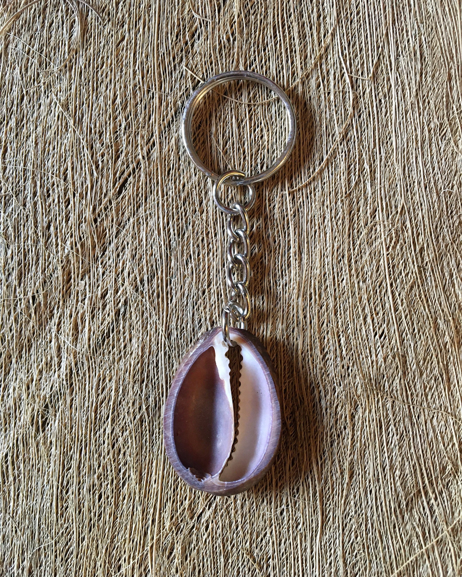 Hawaiian Cowry Shell Keychain Made in Hawaii Shell Keychain | Etsy