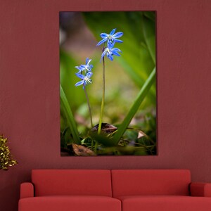 Blue Flowers Photograph, Floral Nature Photography, Botanical Fine Art ...