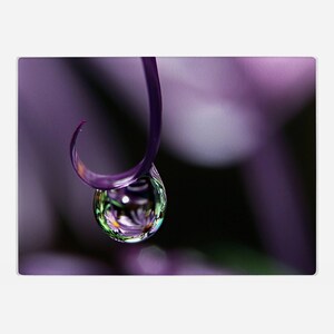 Purple Dew Drop Photo Glass Cutting Board, Nature Trivet Hot Pad ...