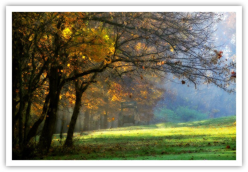 Autumn Landscape Photograph, Fall Tree Grove Photography, Nature ...