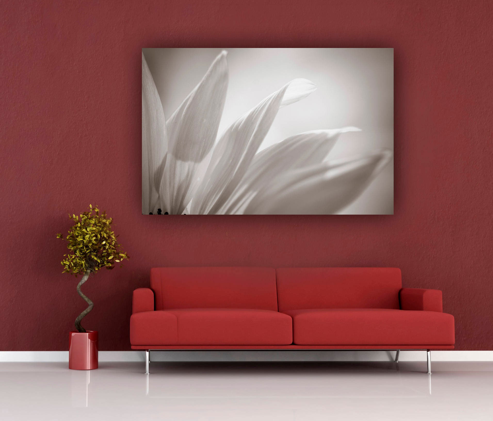 Sepia Flower Photograph, Botanical Fine Art Floral Photography Print ...