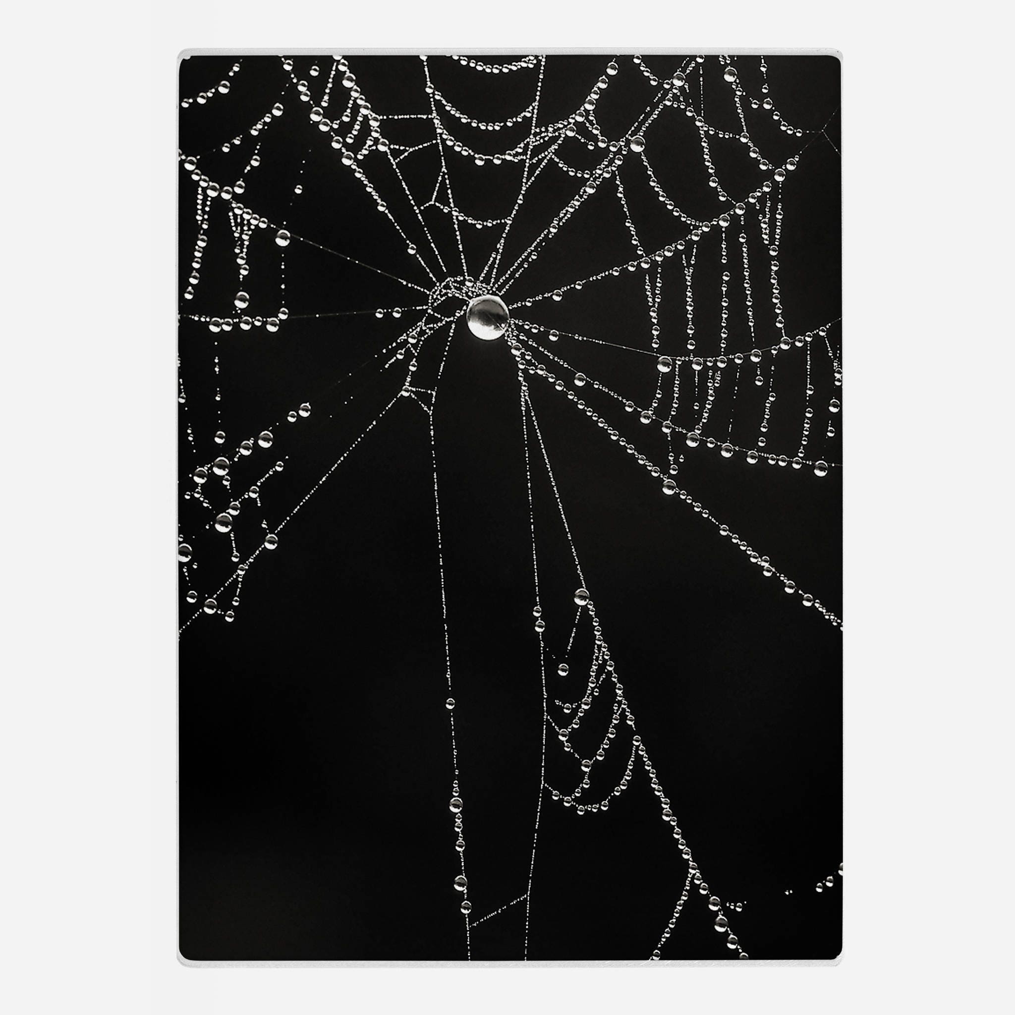 Gothic Cobweb Glass Kitchen Cutting Board Spiderweb Photo - Etsy