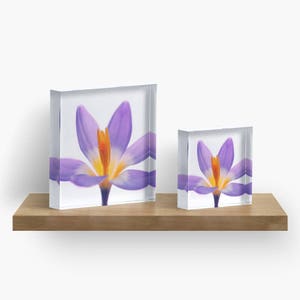 Purple Crocus Flower Acrylic Block, Floral Small Art, Floral Shelf ...