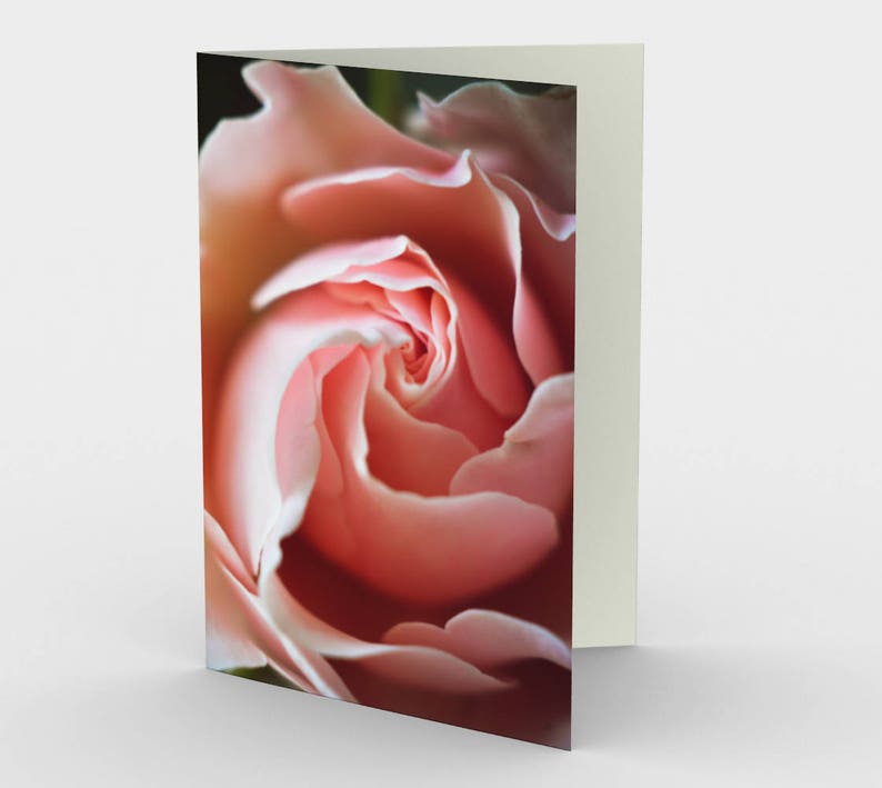 Pink Rose Card Blank Note Cards Nature Note Cards Greeting - Etsy