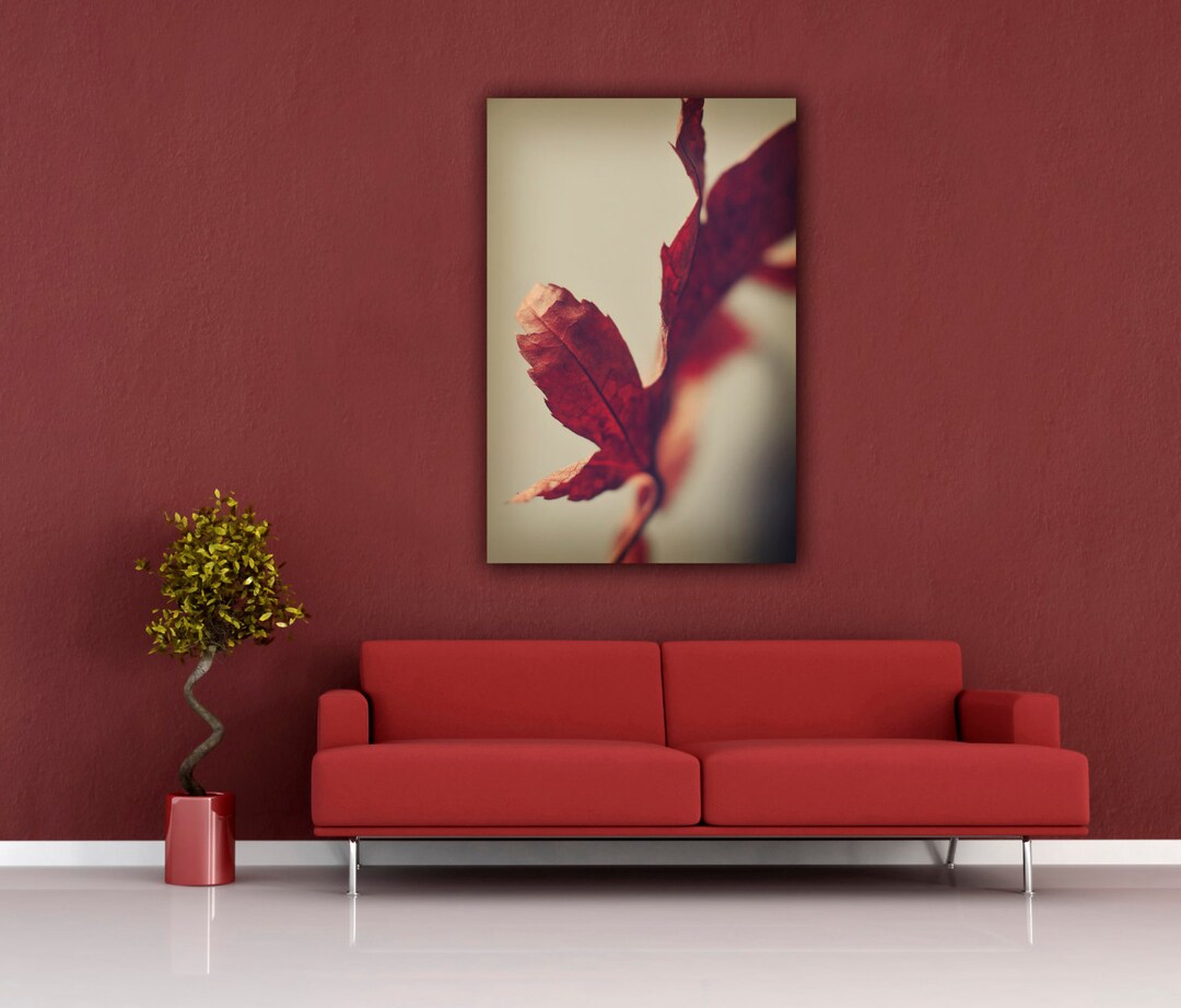 Red Leaf Photograph, Minimalist Modern Still Life Photograph, Fine Art ...