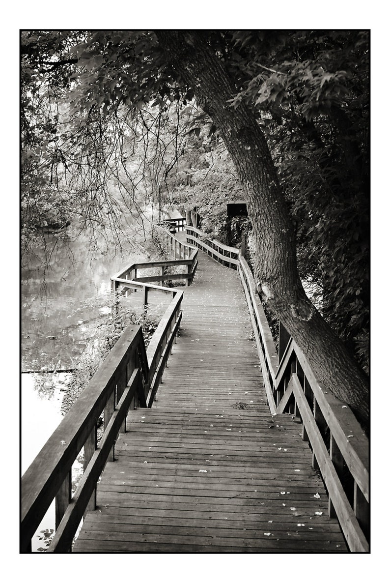Wooden Pathway Photography, Fine Art Nature Photograph, Wooded Path ...