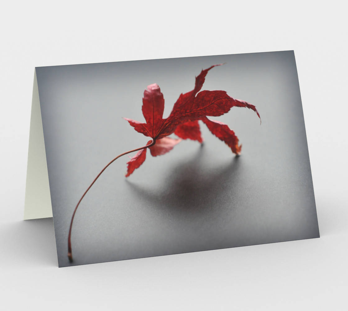 Red Autumn Leaf Fine Art Photo Blank Note Cards, Greeting Cards, Three ...
