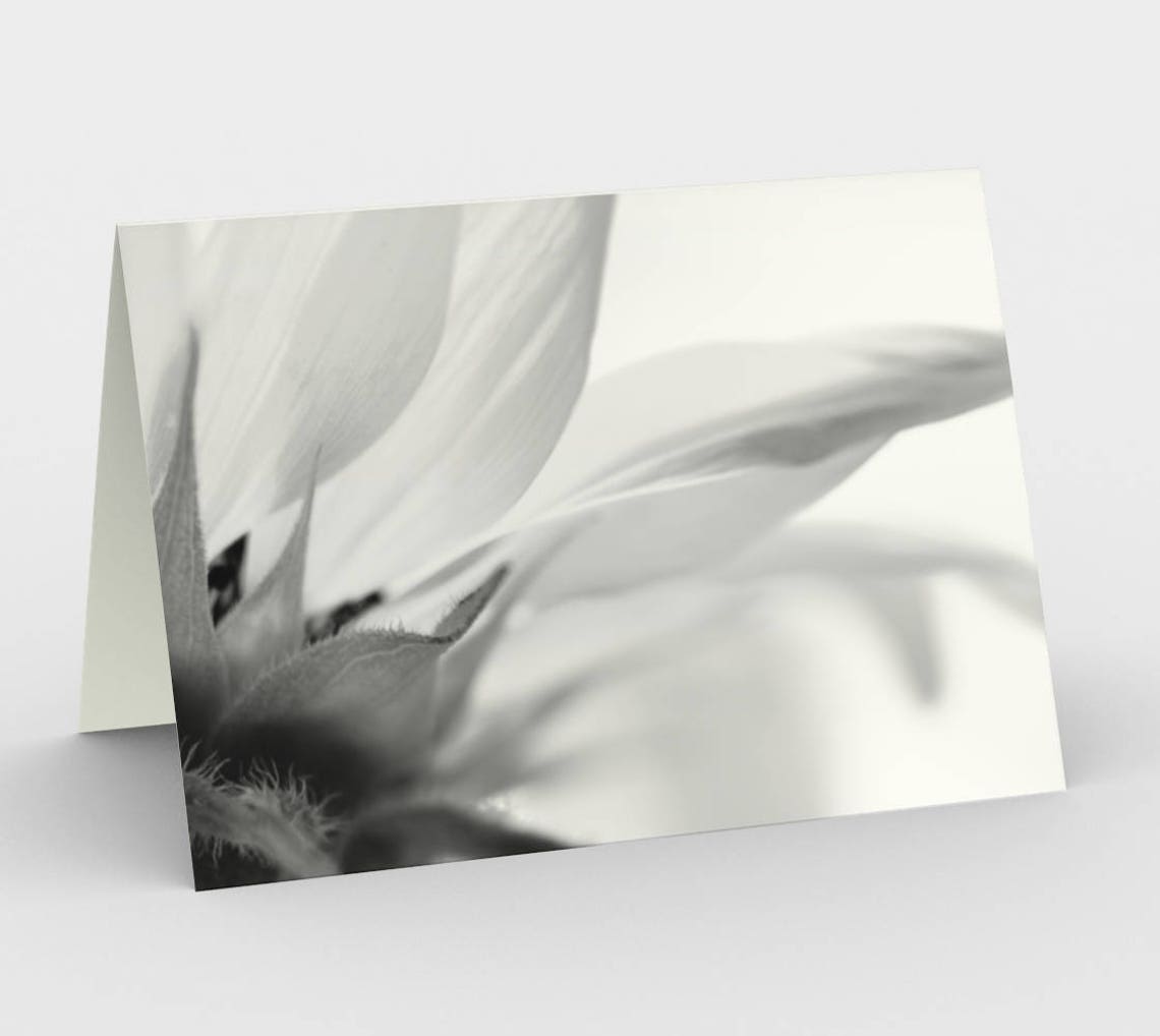 Black and White Flower Blank Note Cards Fine Art Nature - Etsy