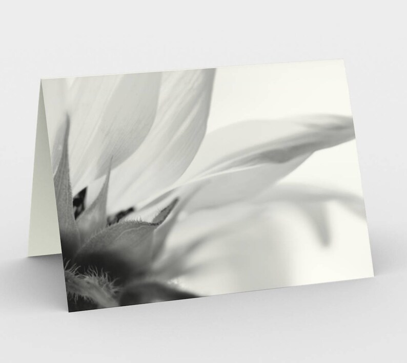 Black and White Flower Blank Note Cards, Fine Art Nature Floral ...
